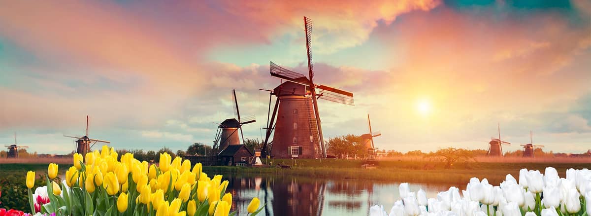 Dutch for Beginners Course | Learn Dutch Online Today - Centre Of ...