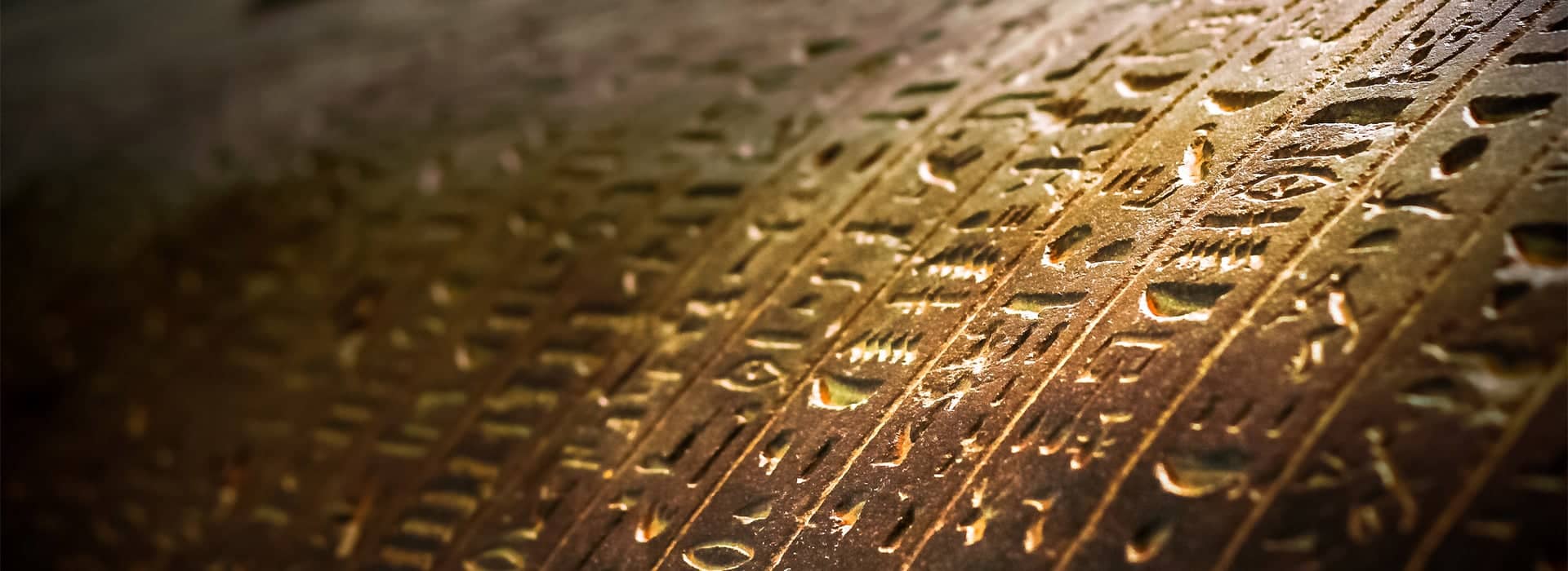 Museum Studies Course | Online/Distance Learning Diploma - Centre Of ...