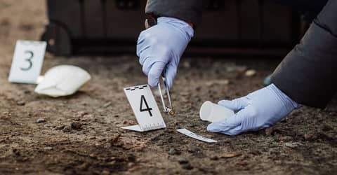 Forensic Science Online Course | Accredited Diploma - Centre Of Excellence