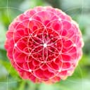 Sigil Magic Course | Accredited Online Diploma - Centre Of Excellence
