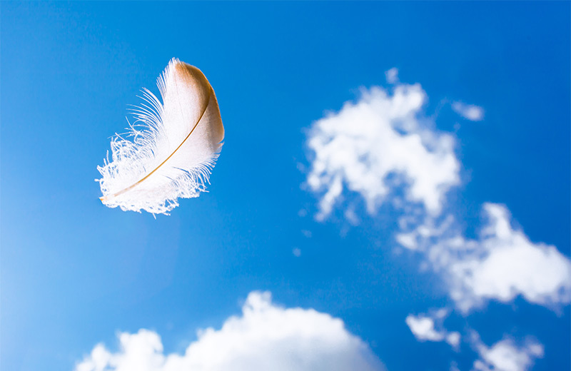 12 Signs an Angel Messenger is Near - Centre of Excellence