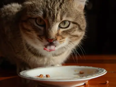 Megara in Greek Mythology: Myths, Powers, and Symbols - Centre of ...