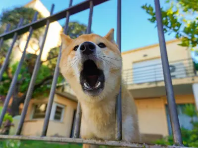 Vali in Norse Mythology: Myths, Powers, and Symbols - Centre of Excellence