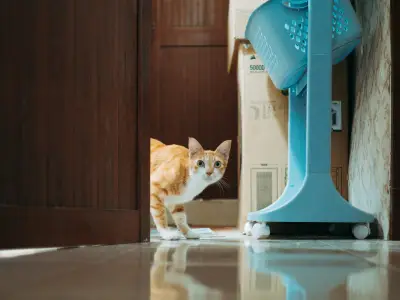 Megara in Greek Mythology: Myths, Powers, and Symbols - Centre of ...