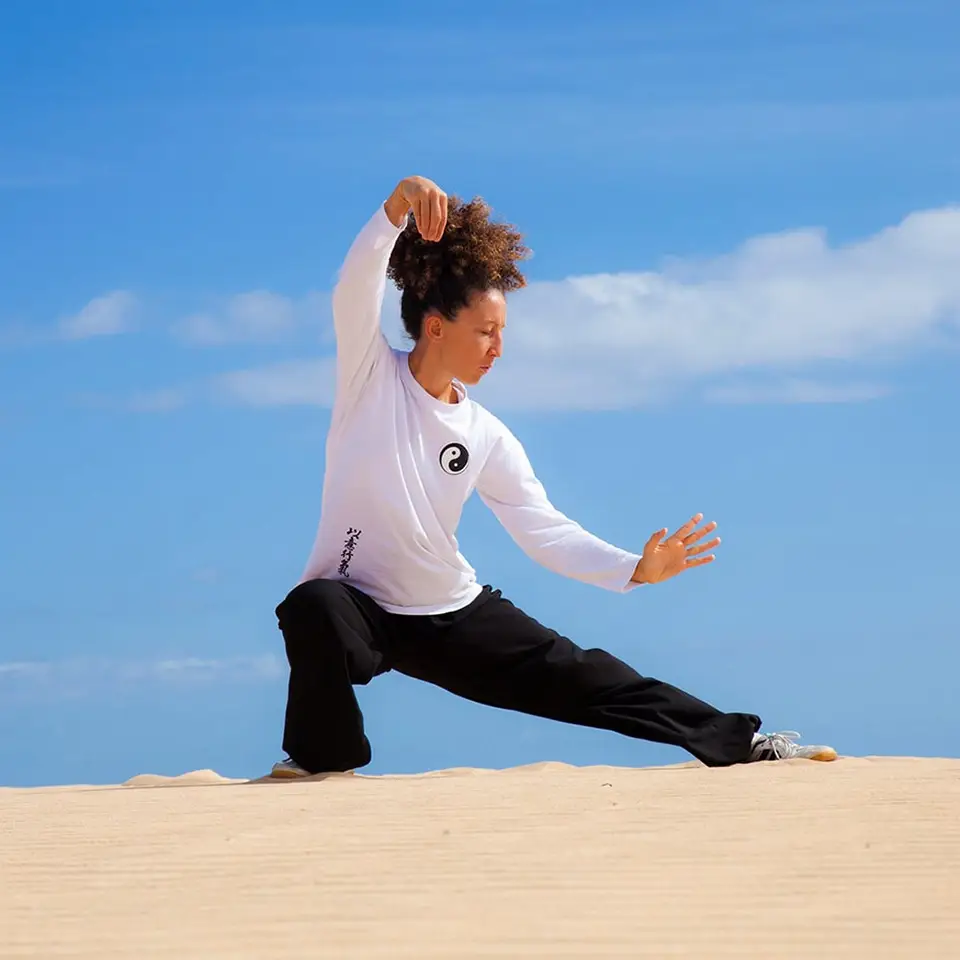 Tai Chi Course - Home Study Training | Learn Tai Chi Online