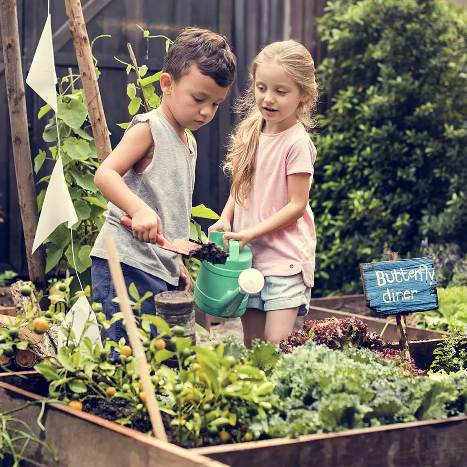 Holistic Education for Children | Accredited Online Diploma