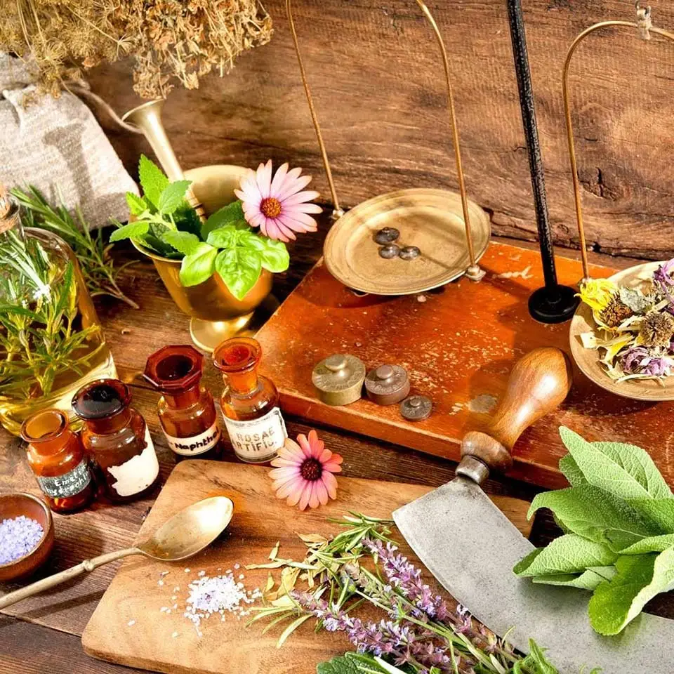 Homeopathy Course Diploma | Learn Homeopathy Online