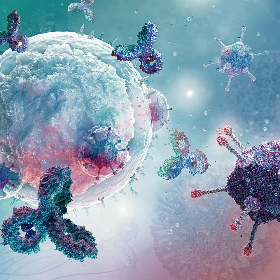 Immunology Course Online | Accredited Immunology Diploma