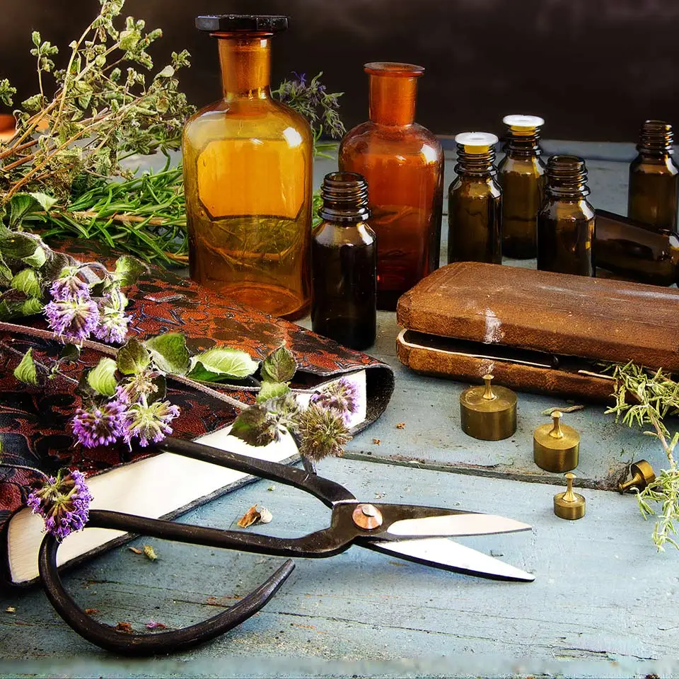 Kitchen Witchery Course | Kitchen Witchcraft Spells & Recipes