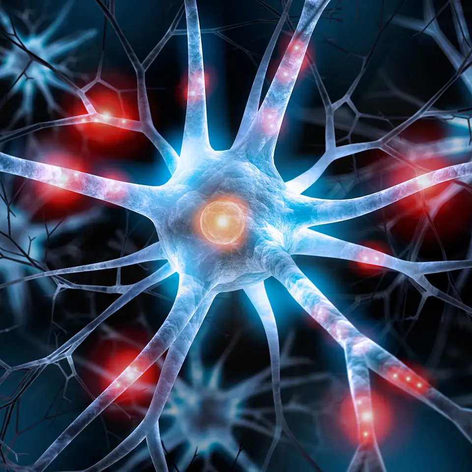 Improve Your Memory Diploma Course - Centre of Excellence