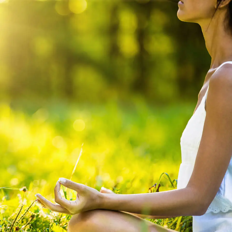 Meditation Audio Course - Centre of Excellence