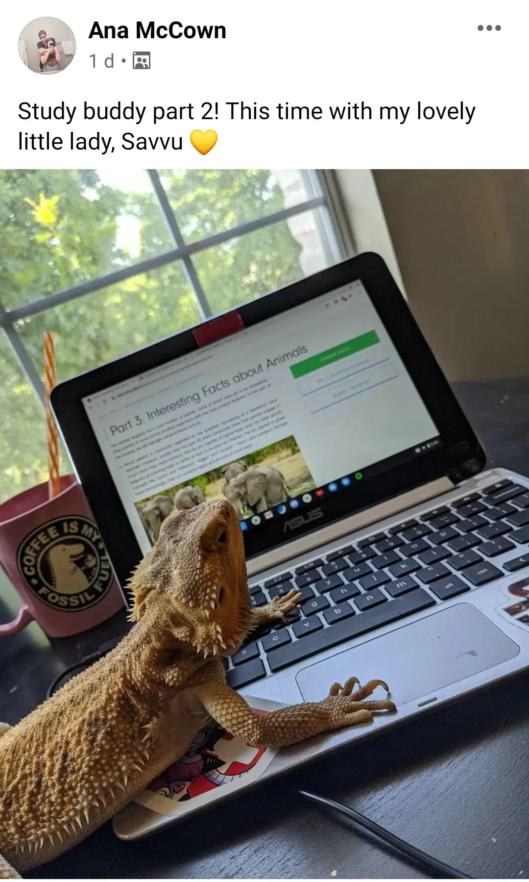 Angel Reiki Healing Course | Online Accredited Learning