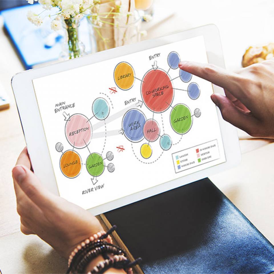 Mind Mapping Diploma Course - Centre of Excellence