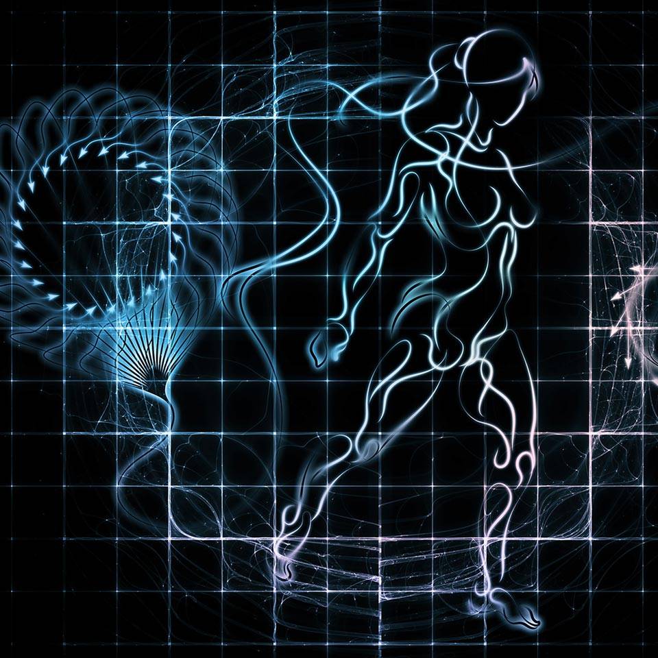 Body Healing Coach Diploma Course | Learn to Heal Your Body