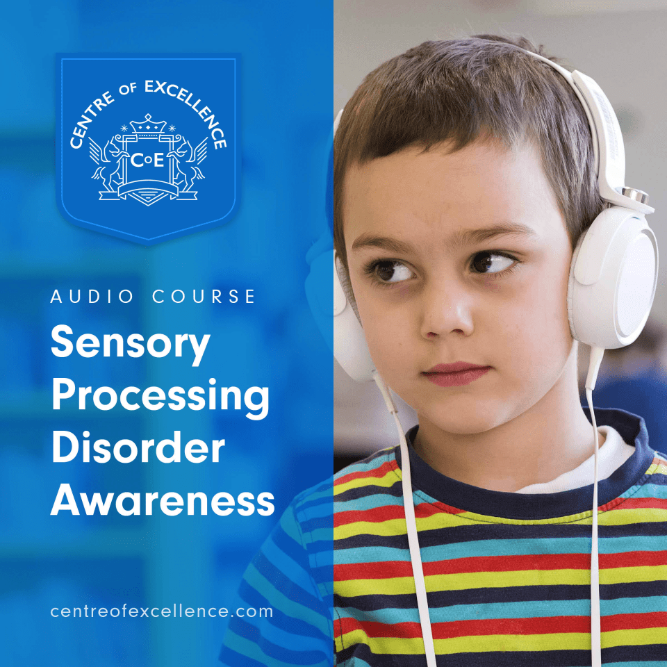 Sensory Processing Disorder Awareness Audio Course - Centre Of Excellence