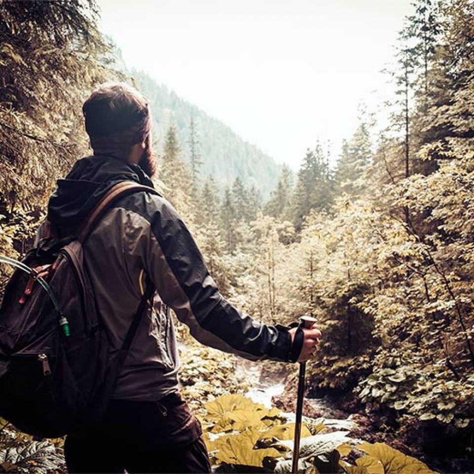 Bushcraft Course | Learn Bushcraft Survival Skills Online