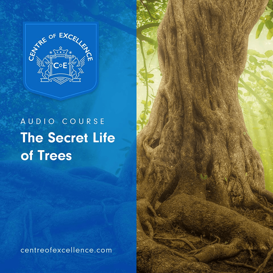 The Secret Life of Trees Audio Course - Centre Of Excellence