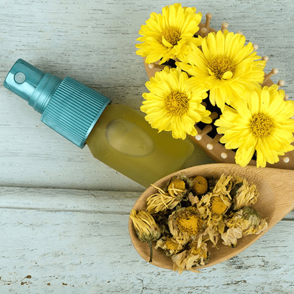 Herbal Hydrosols Diploma Course - Centre Of Excellence