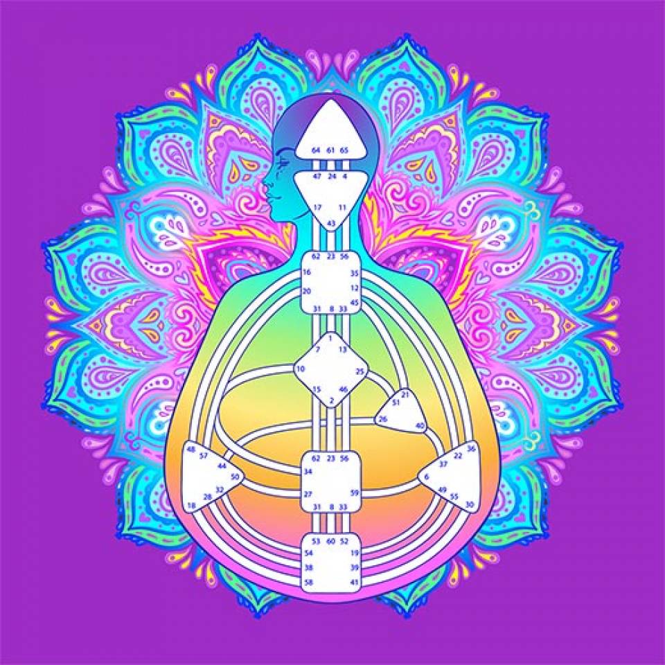 Human Design Diploma Course - Centre of Excellence