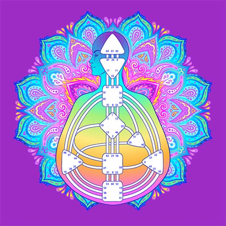 Human Design Diploma Course - Centre Of Excellence