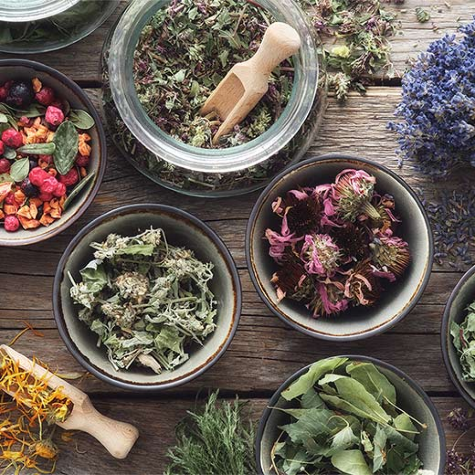 Herbs for Healing Course | Learn About Healing Herbs Online - Centre Of ...