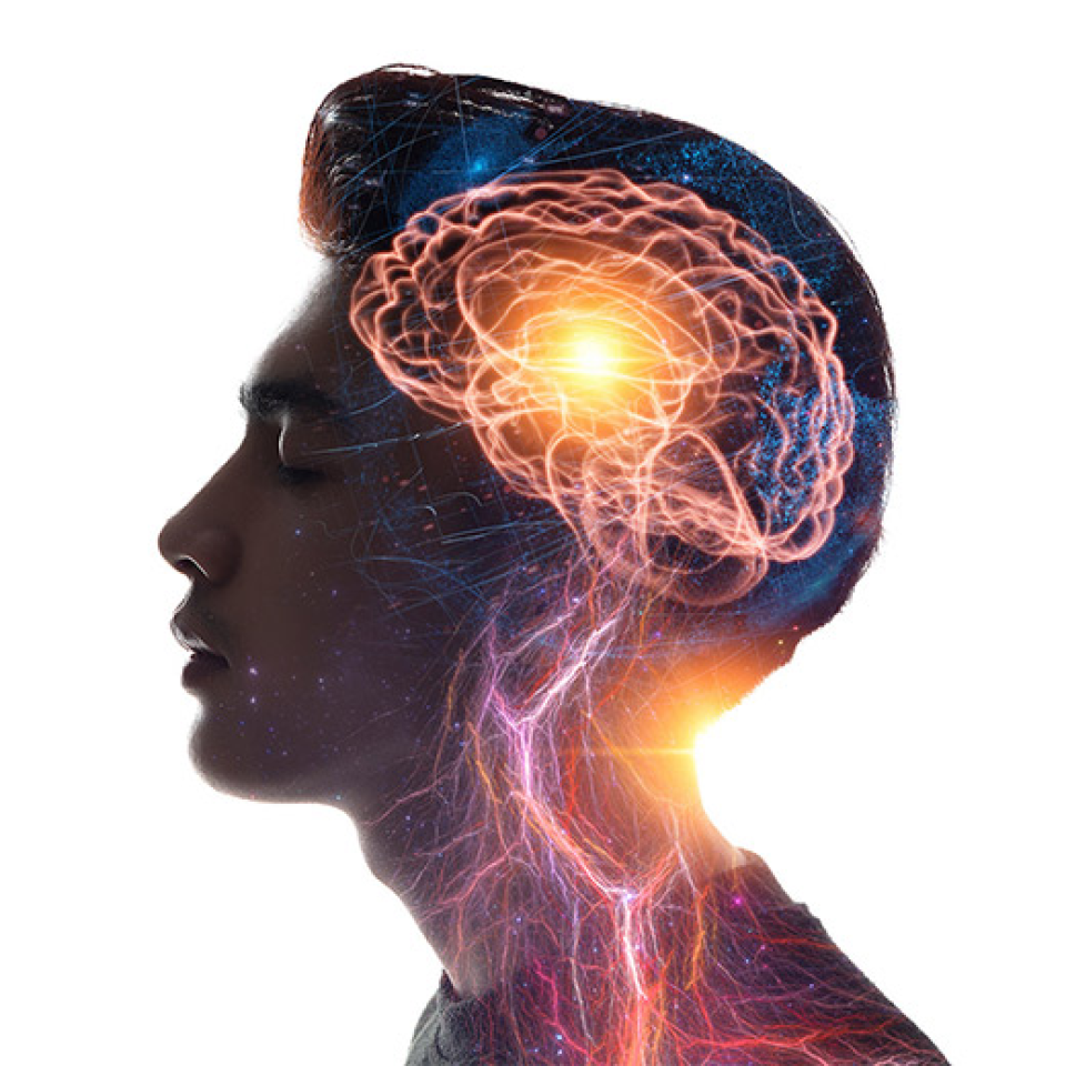 Bioresonance Therapy | Accredited Online Diploma Course - Centre Of ...