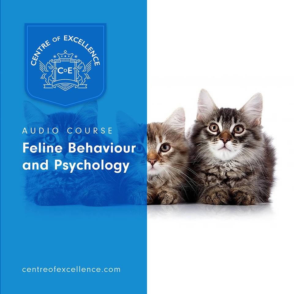 Feline Behaviour and Psychology Audio Course - Centre of Excellence