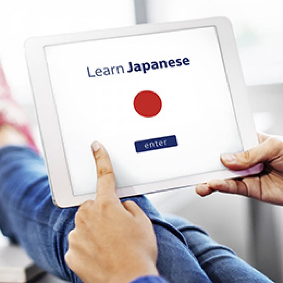Japanese for Beginners Diploma Course - Centre of Excellence