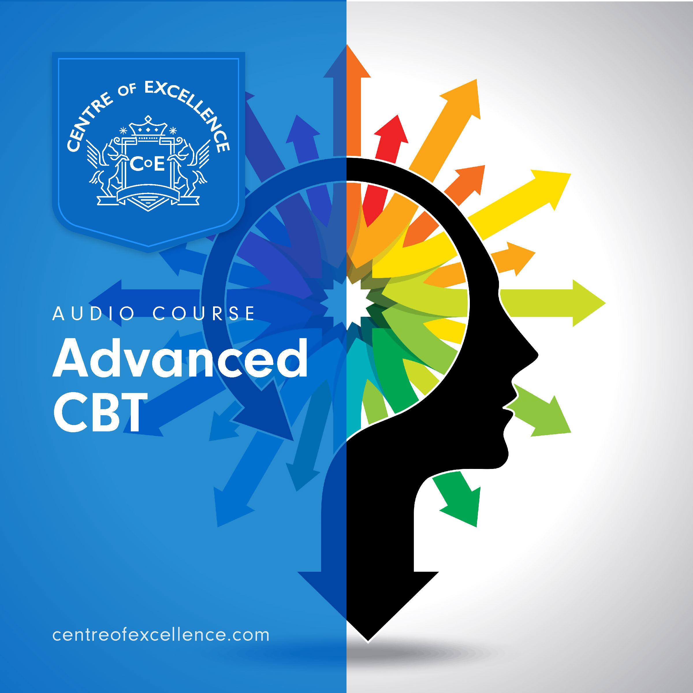 Advanced CBT Audio Course - Centre Of Excellence