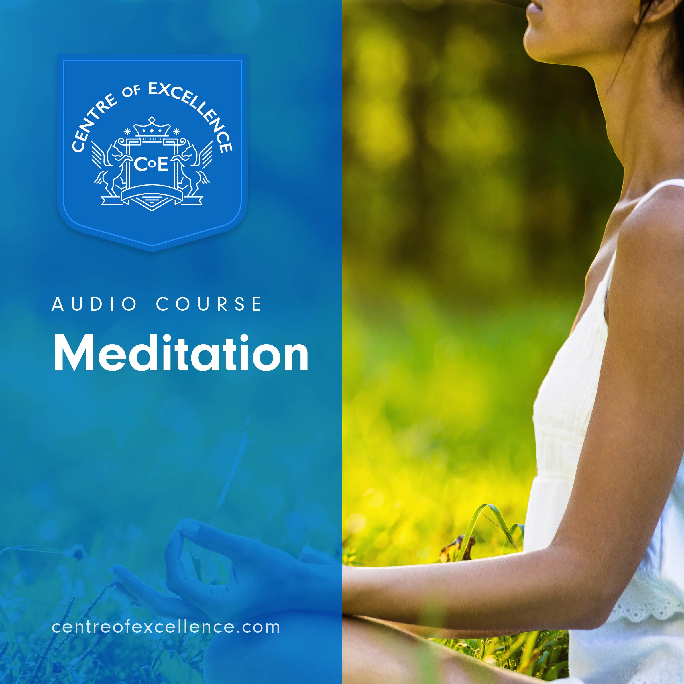 Meditation Audio Course Centre Of Excellence