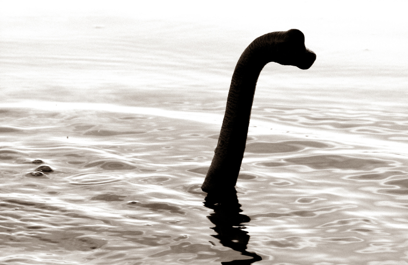 The Loch Ness Monster: Myths, Theories, and Sightings - Centre of ...
