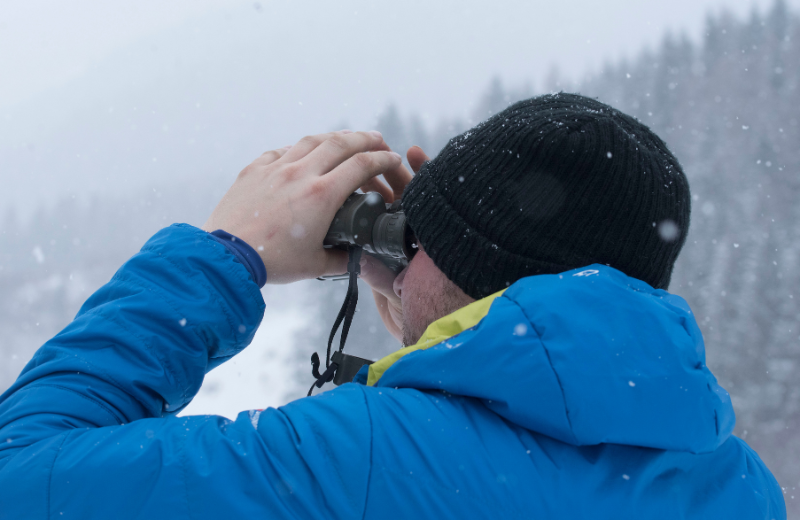 What is a Cryptozoologist? Meaning, Studies, & How to Become One ...